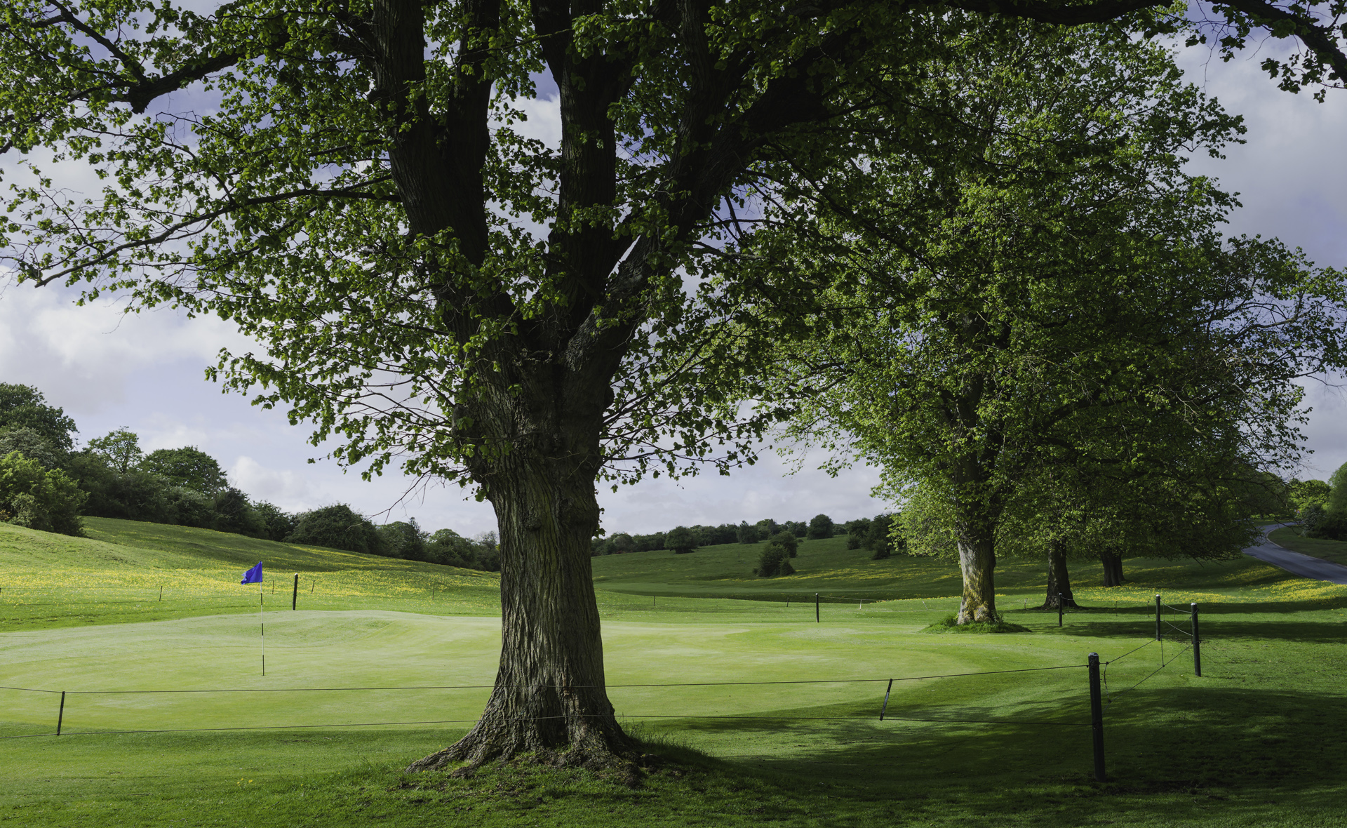 Golf Resort Development - Soren Hudson